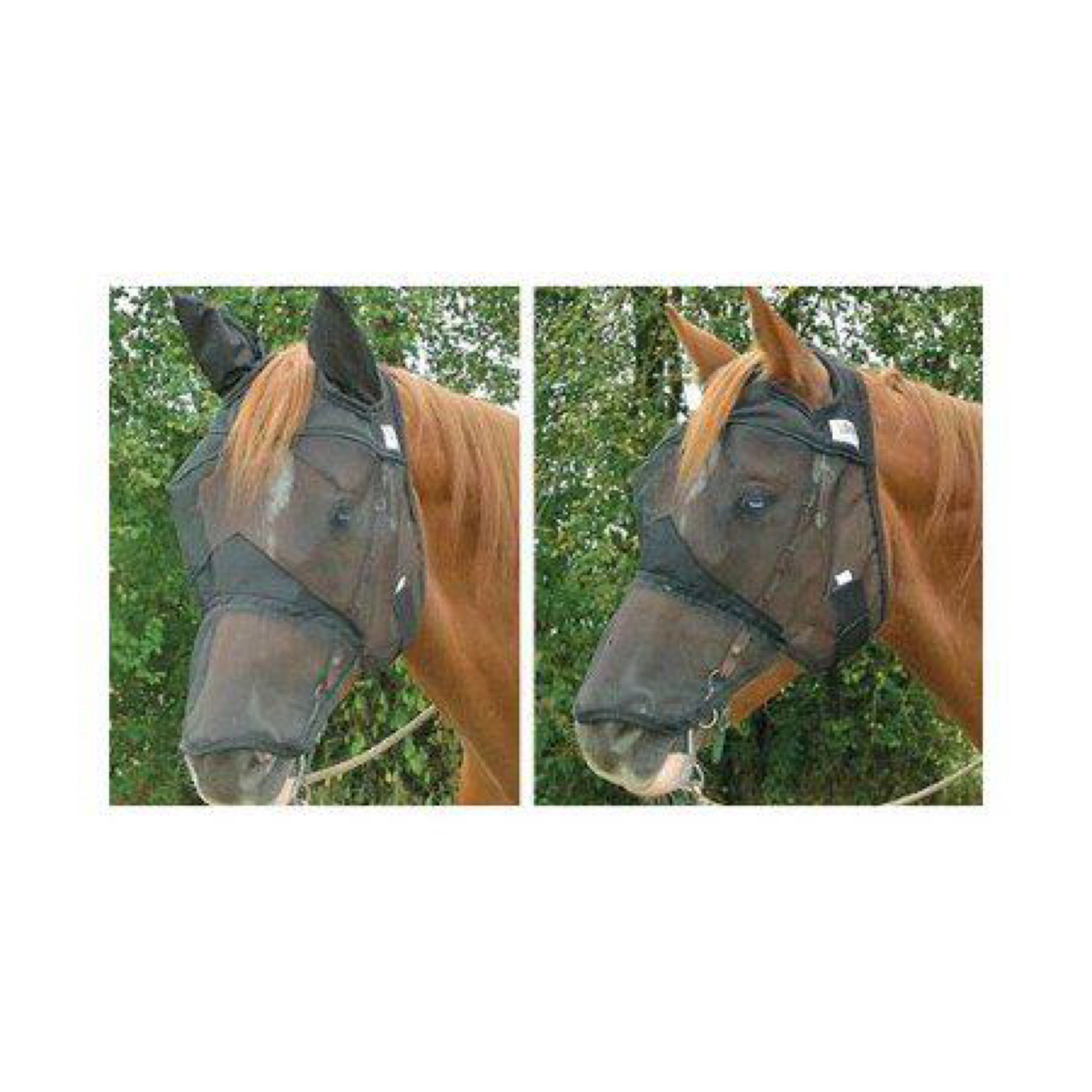 Quiet Ride Long Nose Mask Horse | Southeast Saddles